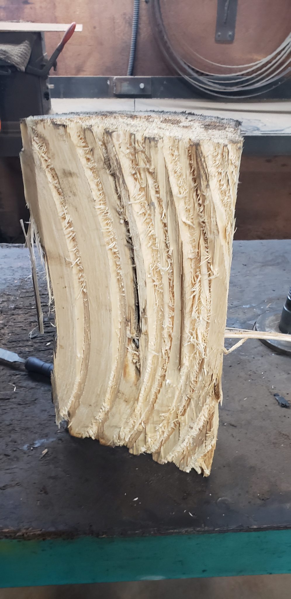 Tree spiking a criminal act putting workers’ lives at risk | News ...